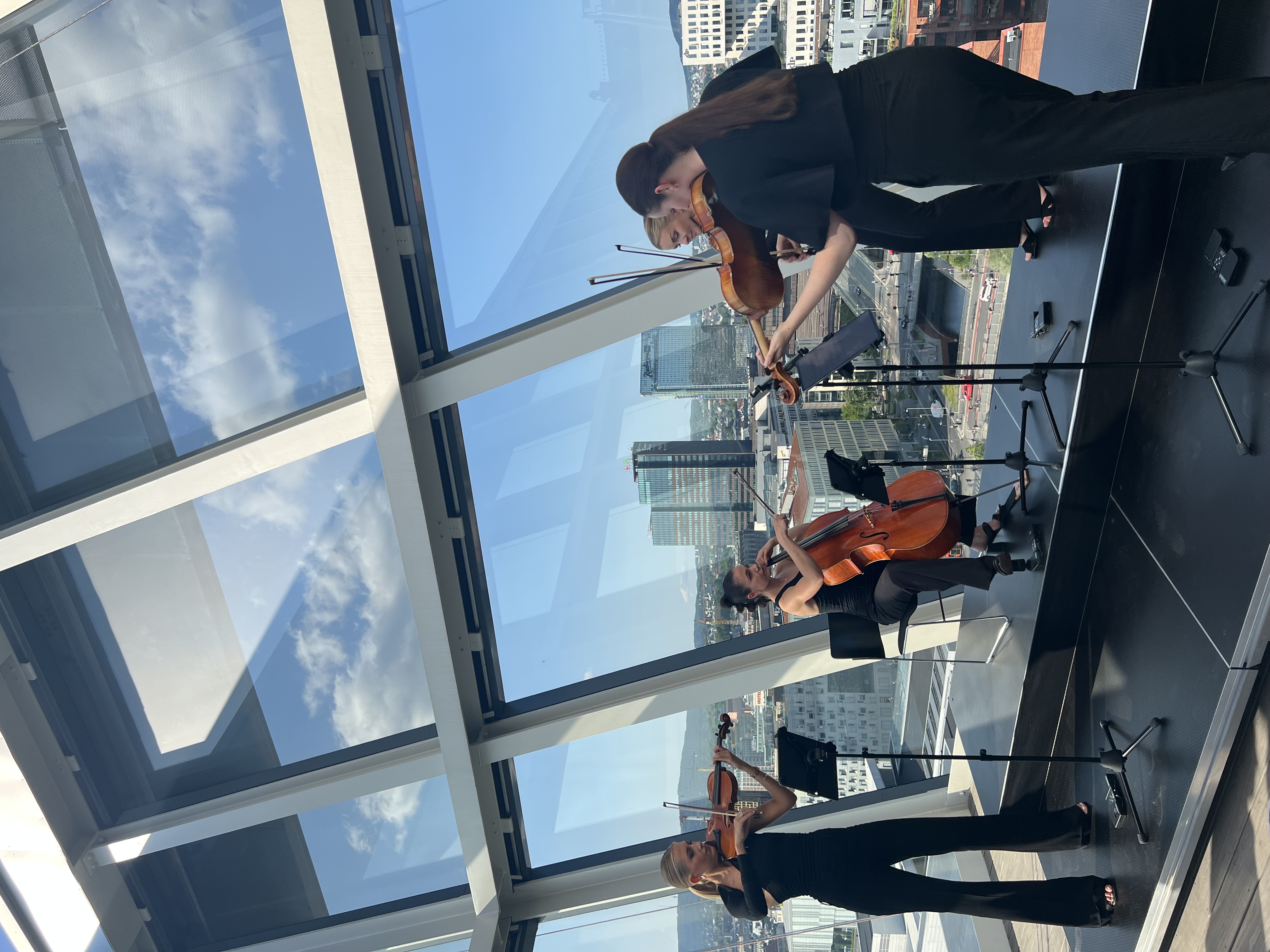 Book Scandi Strings - Kvartett fra Oslo med 4 medlemmer